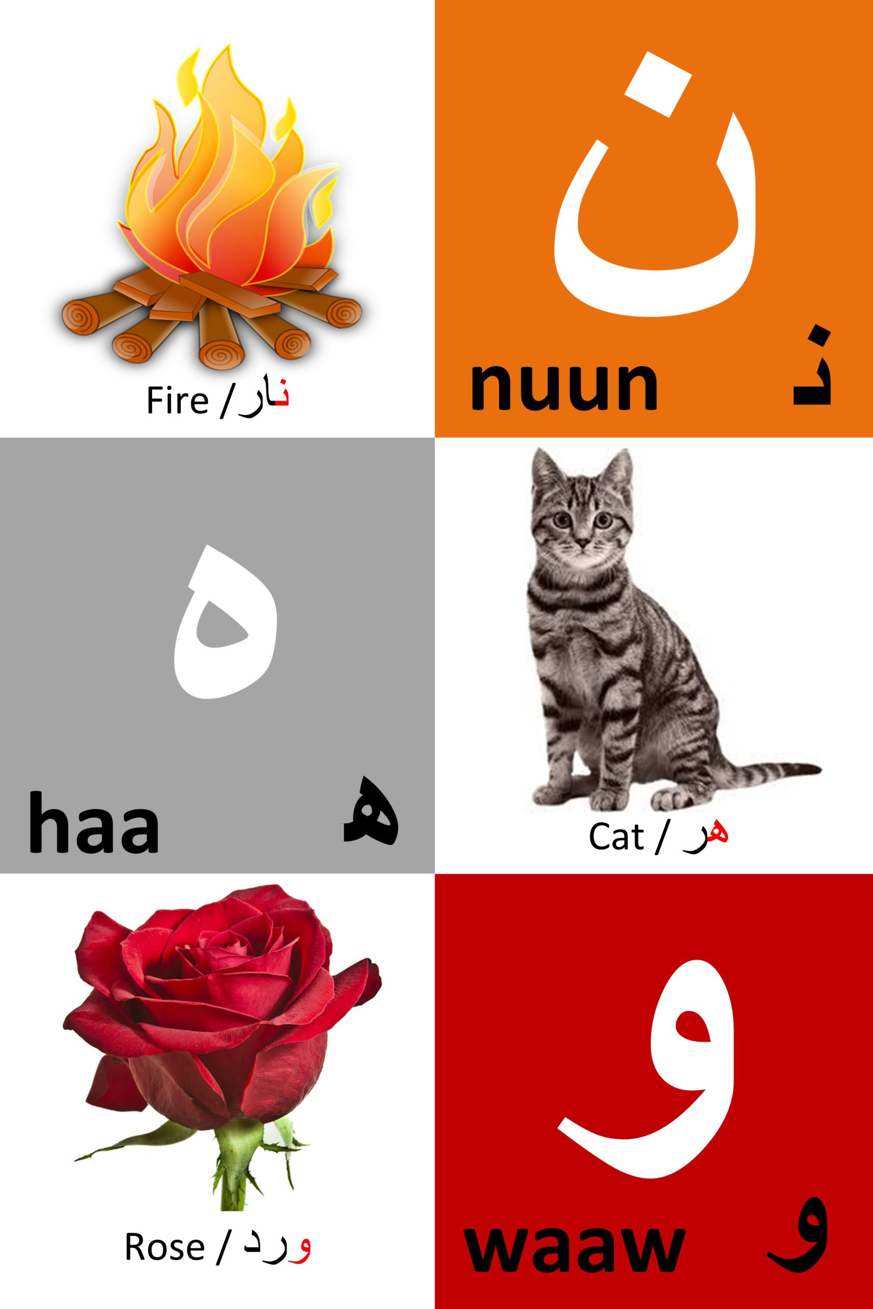 Arabic Alphabet Board Book by I Know My ABC, 9780997139549