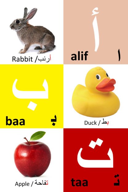 Arabic Alphabet Board Book by I Know My ABC, 9780997139549