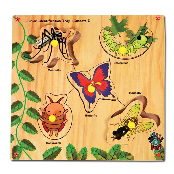 Skillofun Junior Identification Trays – Insects I, 8907030001088