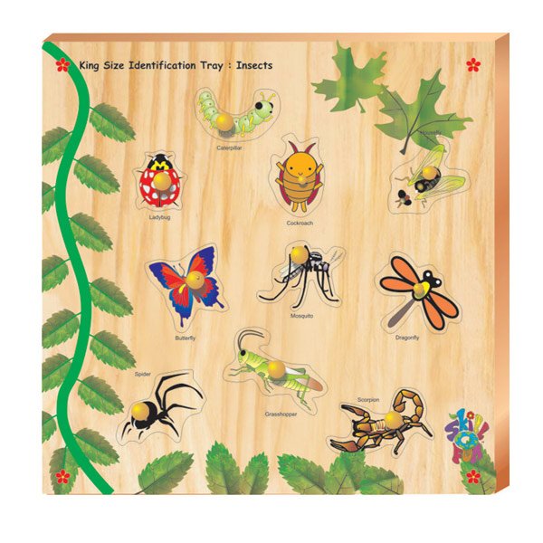 Skillofun Kingsize Identification Tray – Insects, 8907030001019