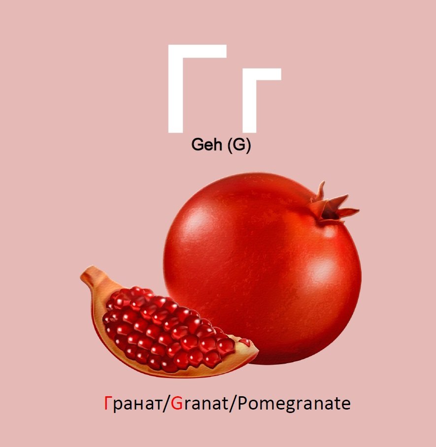 Russian Alphabet Book: My First Russian Alphabet Picture Book