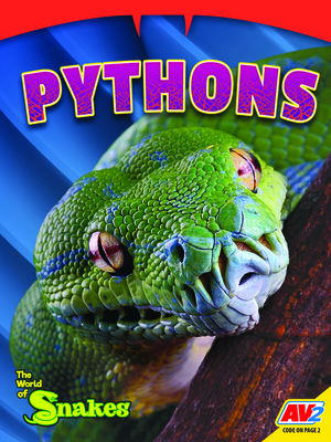 Alligator vs. Python (Who Would Win?), 12 – Educational Book, 9780545451925